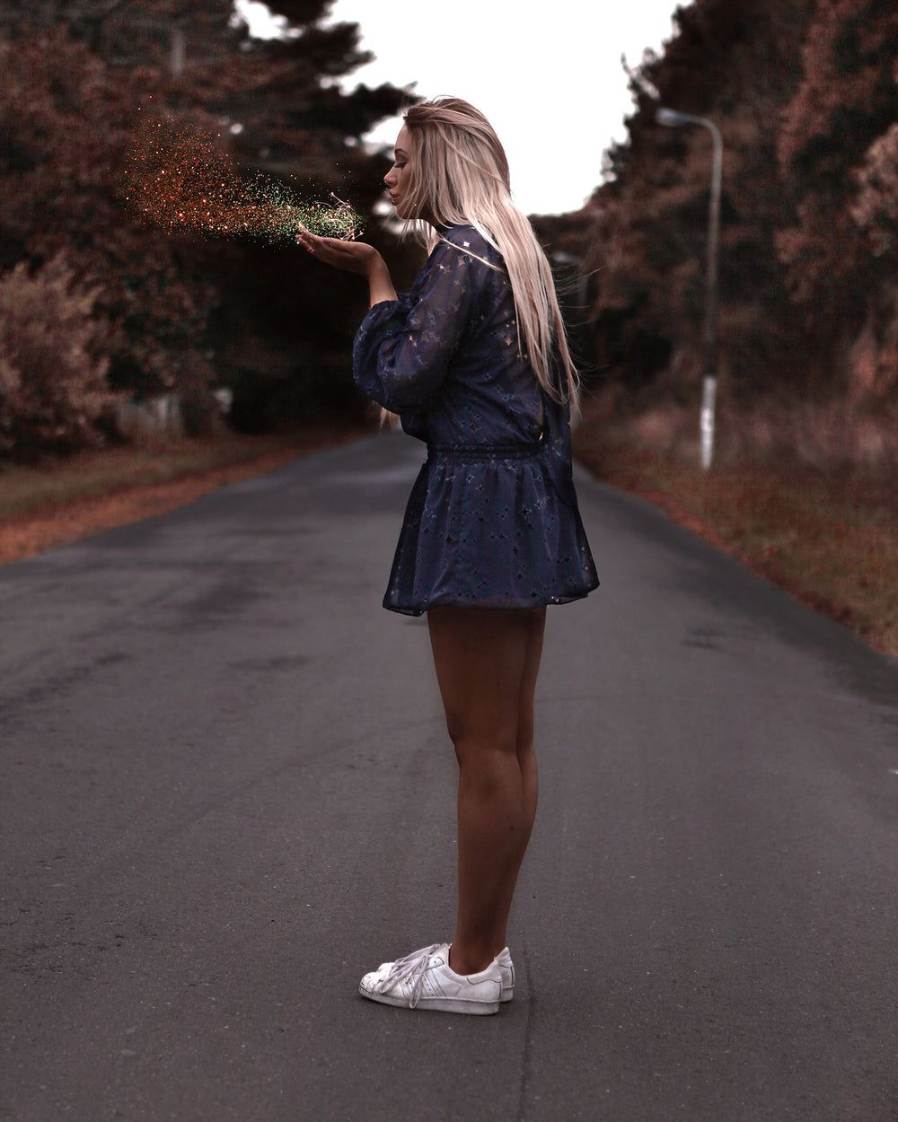 Beauty – Stacy Middleton